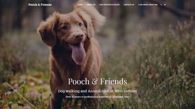 Website Examples | Web Design Inspiration - SITE123