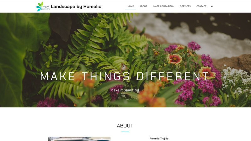 Website Examples | Web Design Inspiration - SITE123