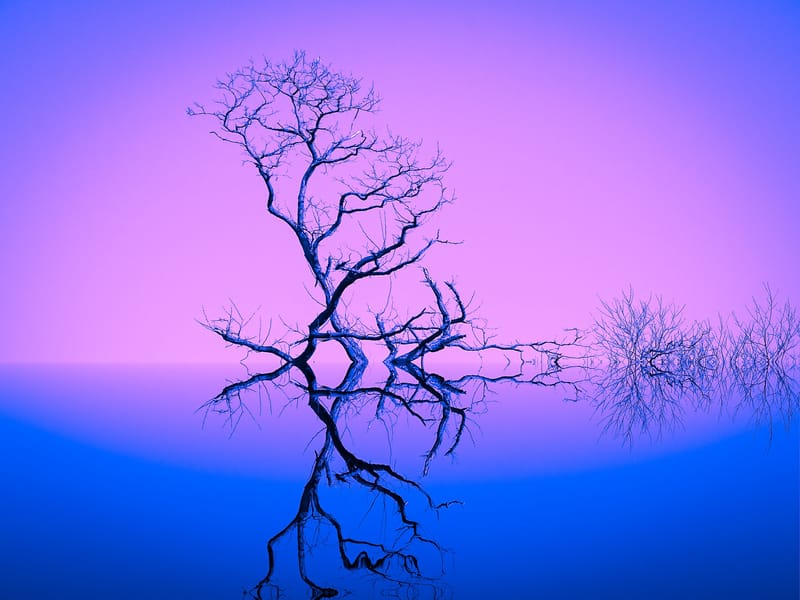 Reforming Trauma Coaching & Counselling.