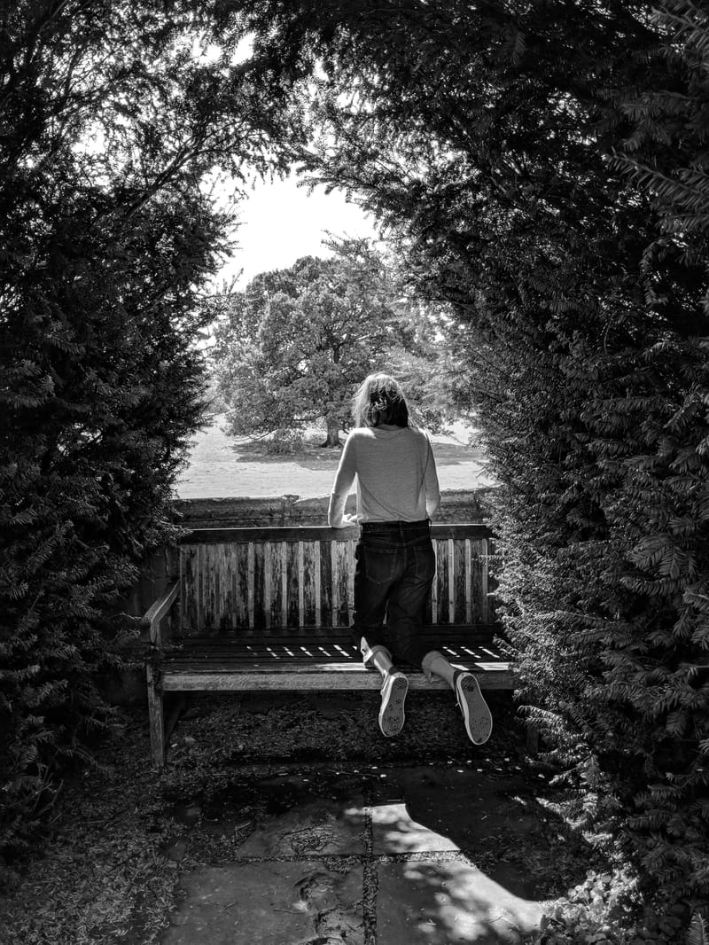 Quiet Moments for Introspection - Birds of a Feather Wellness & Counseling