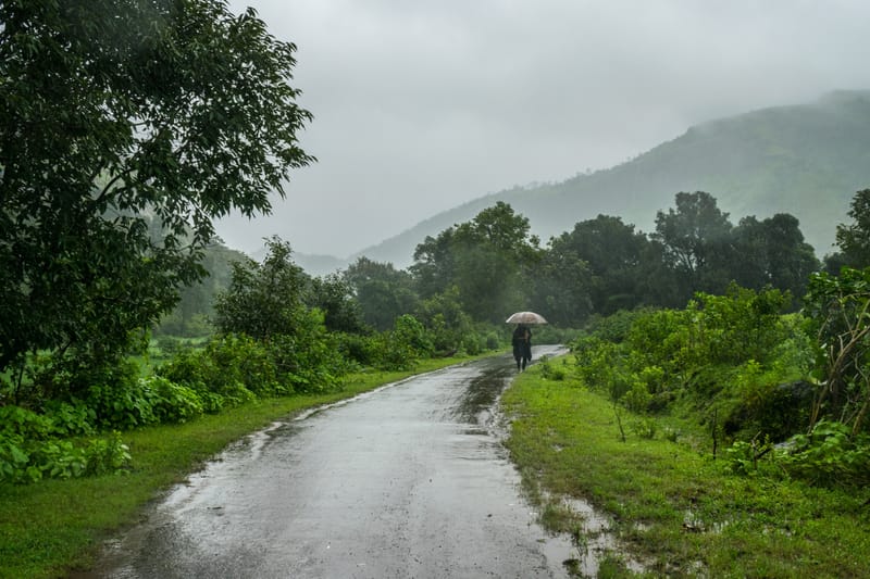 Understanding How the Rainy Season Can Affect Your Purchase - Chris ...