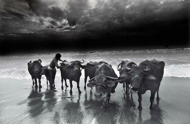 Palani Mohan - A day at the beach - Squal-Photographie