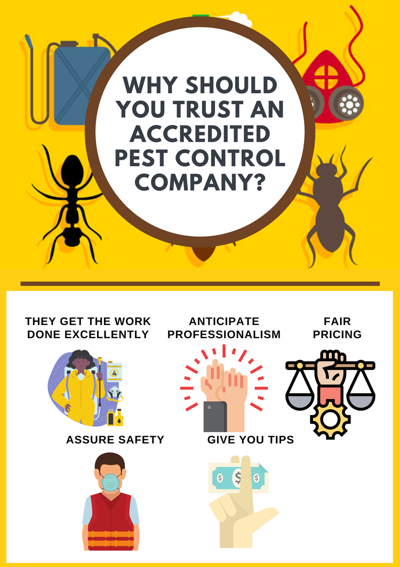 Why Should You Trust an Accredited Pest Control Company? - Business ...