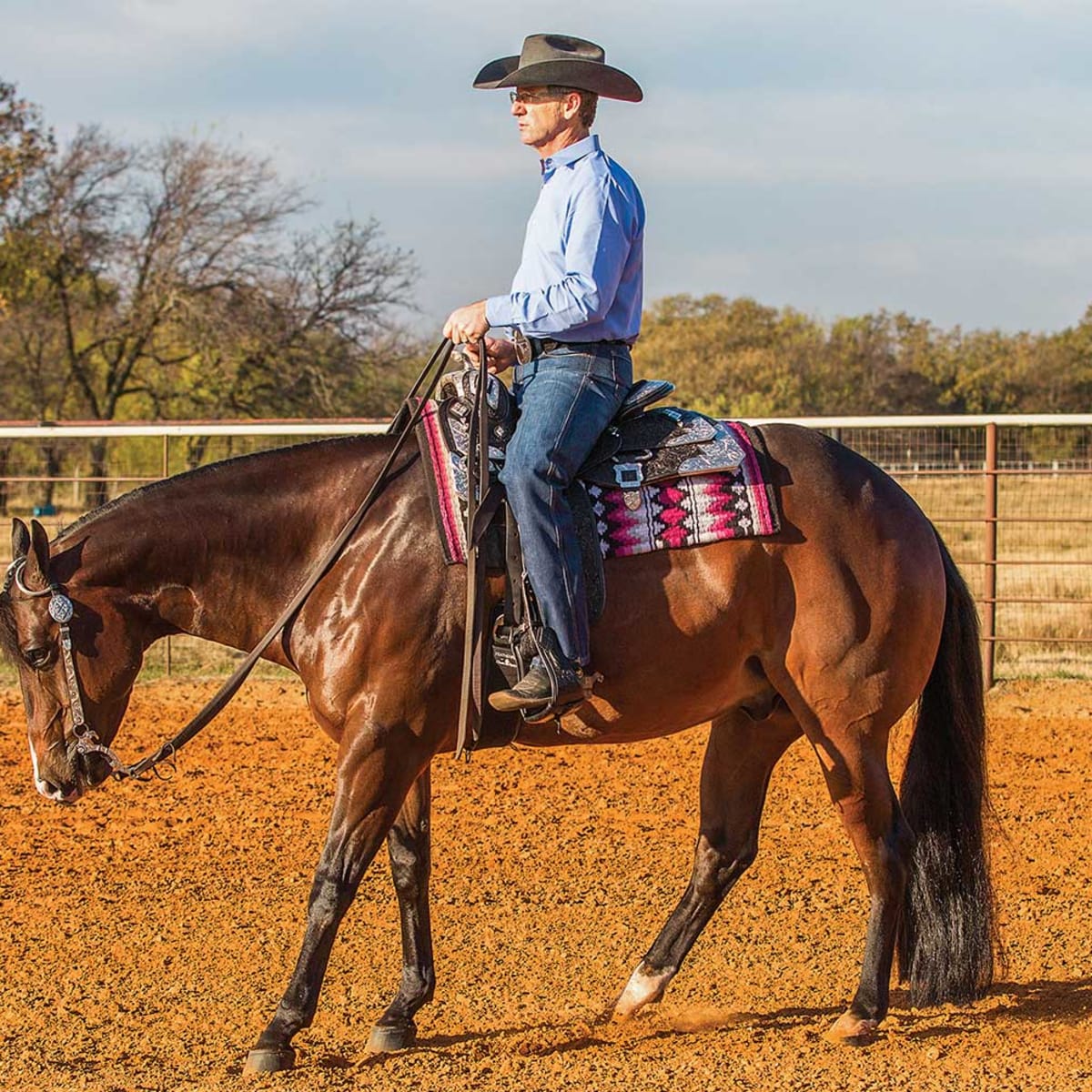 Lunga Riding Stables