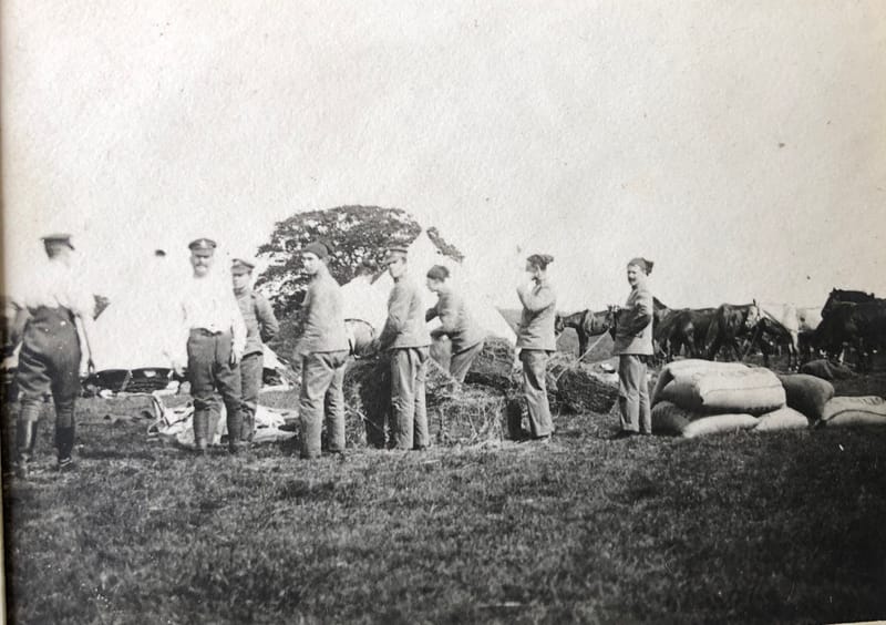 Collecting forage for the horses at Latimer Camp in 1903. Squadron ...