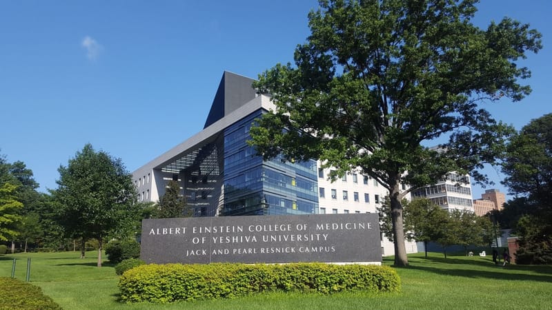 Postdoctoral Association of the Albert Einstein College of Medicine