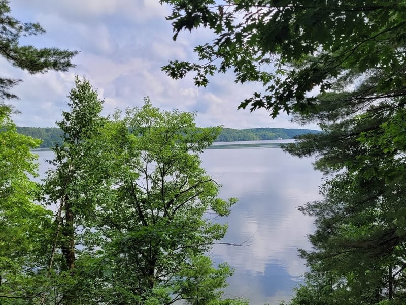 TRACKS Youth Program