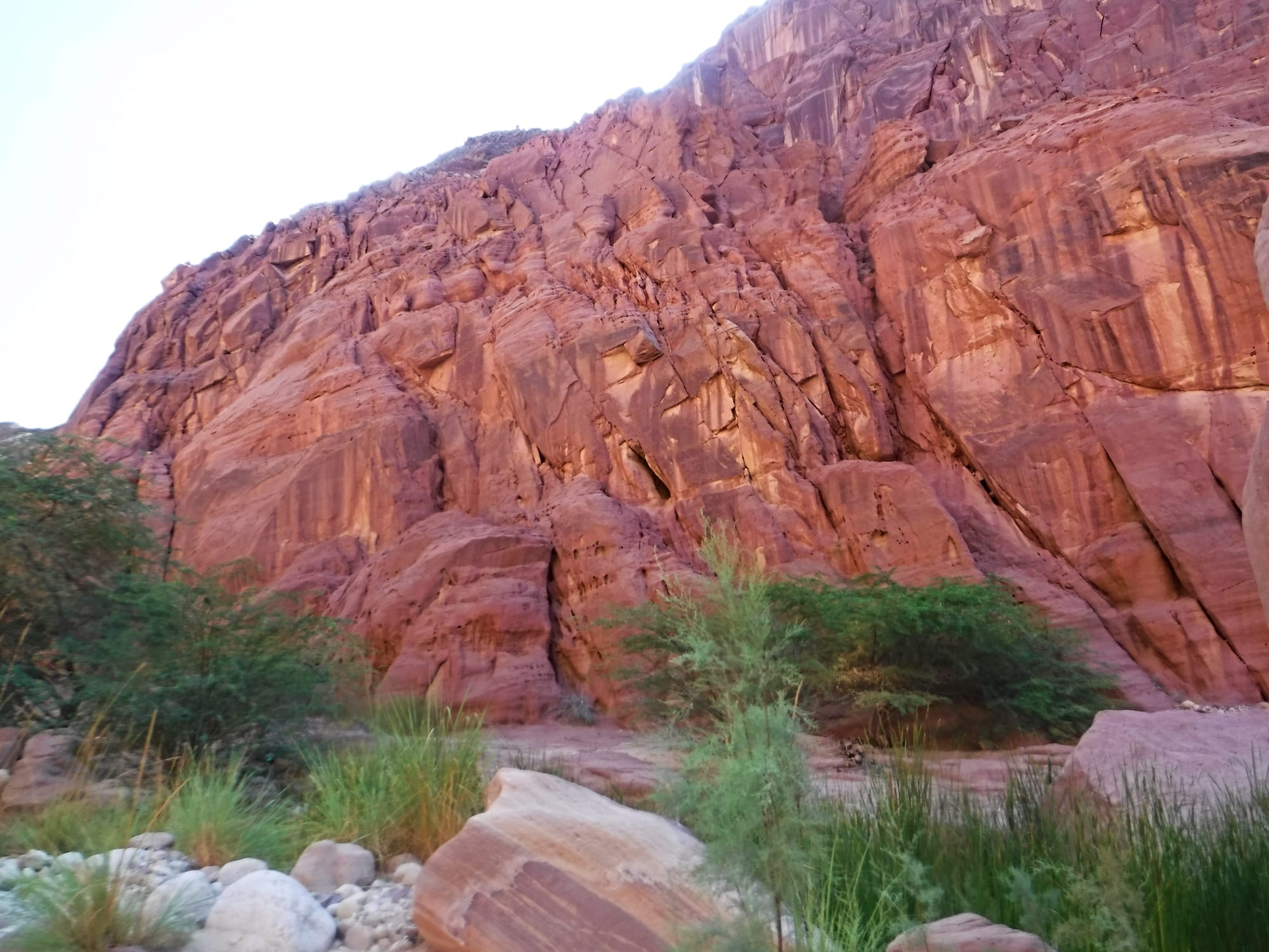 Wadi Hassa - Paths of Jordan