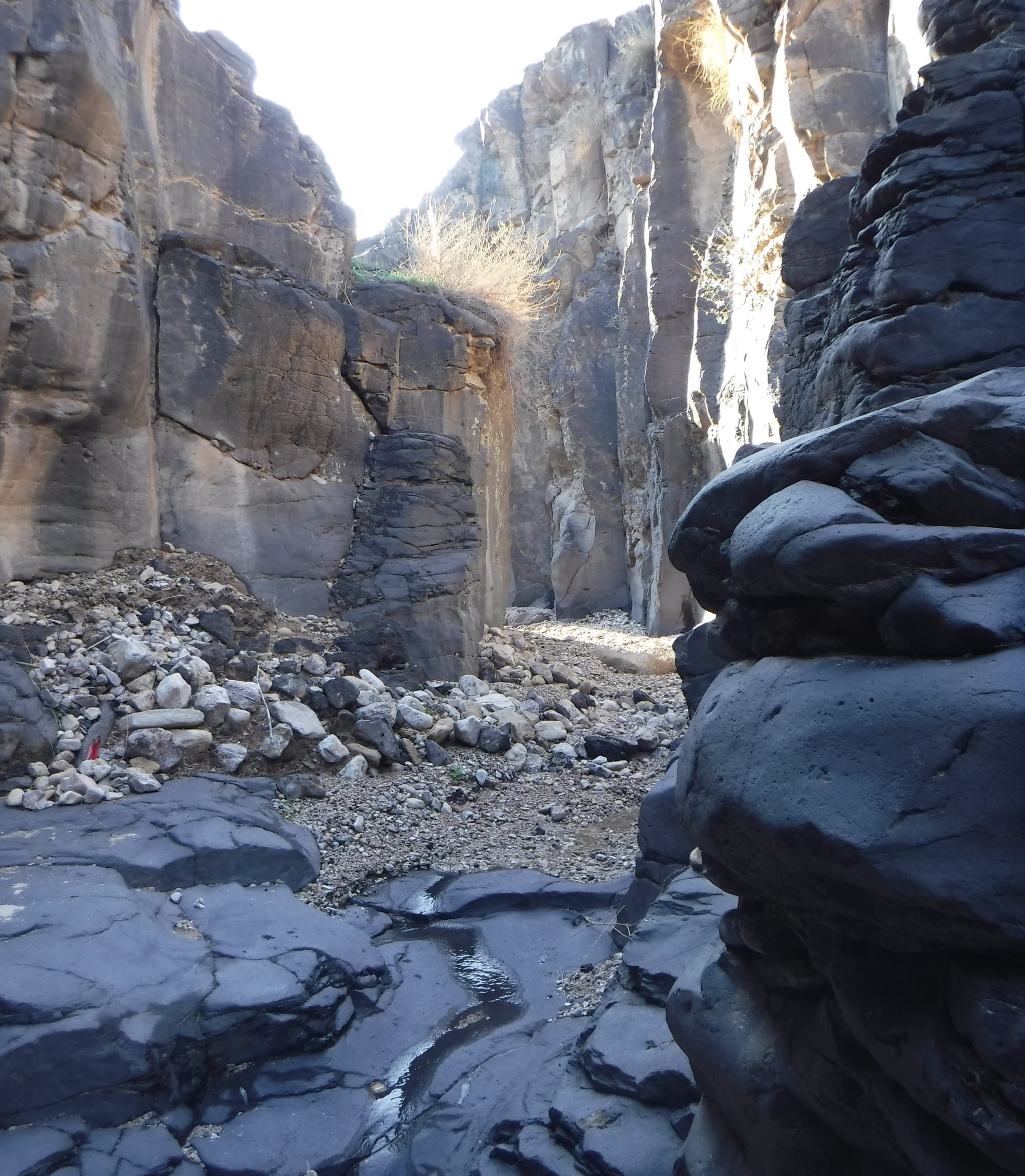 Wadi Ma'in - Paths of Jordan