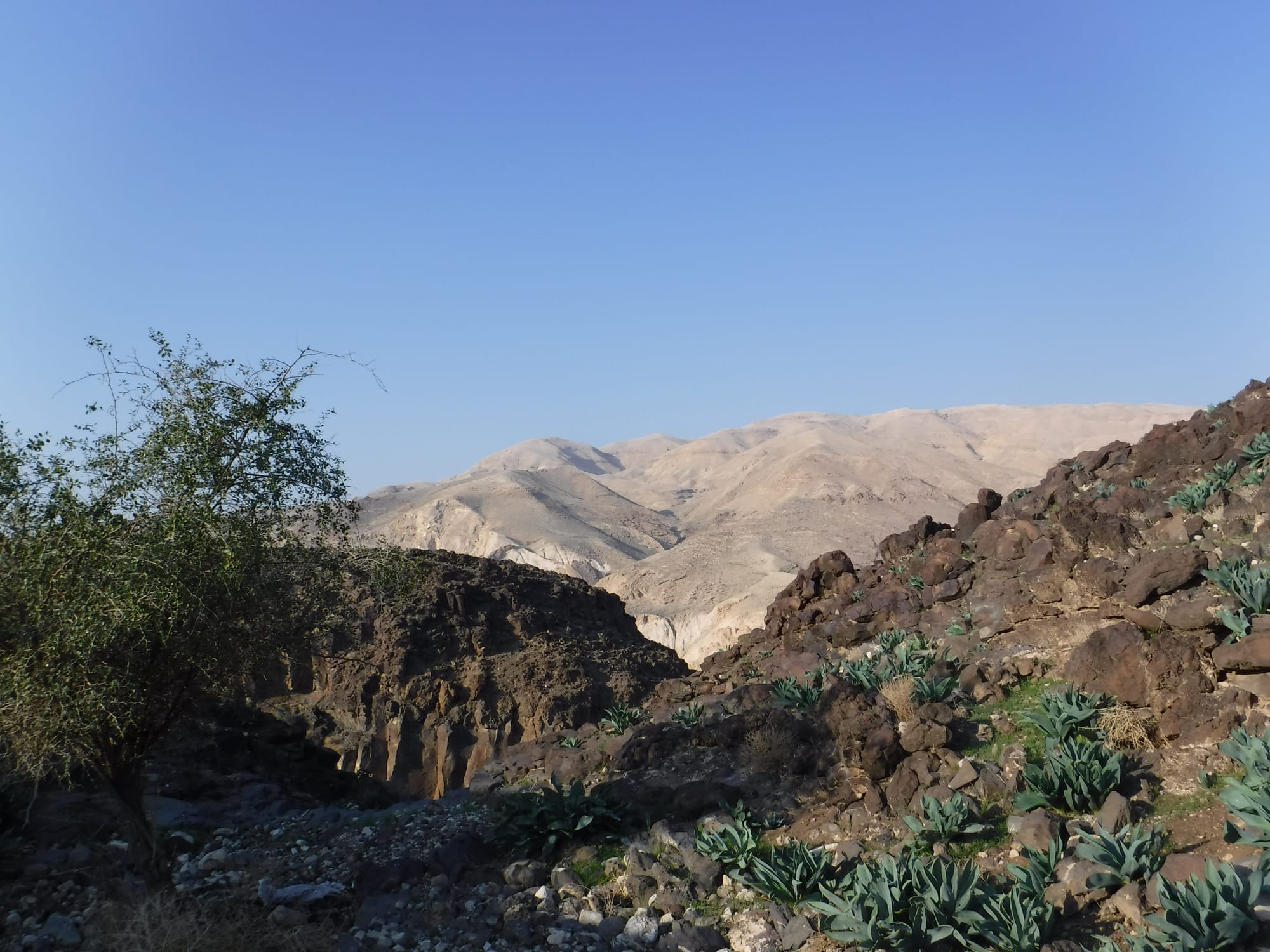 Wadi Ma'in - Paths of Jordan