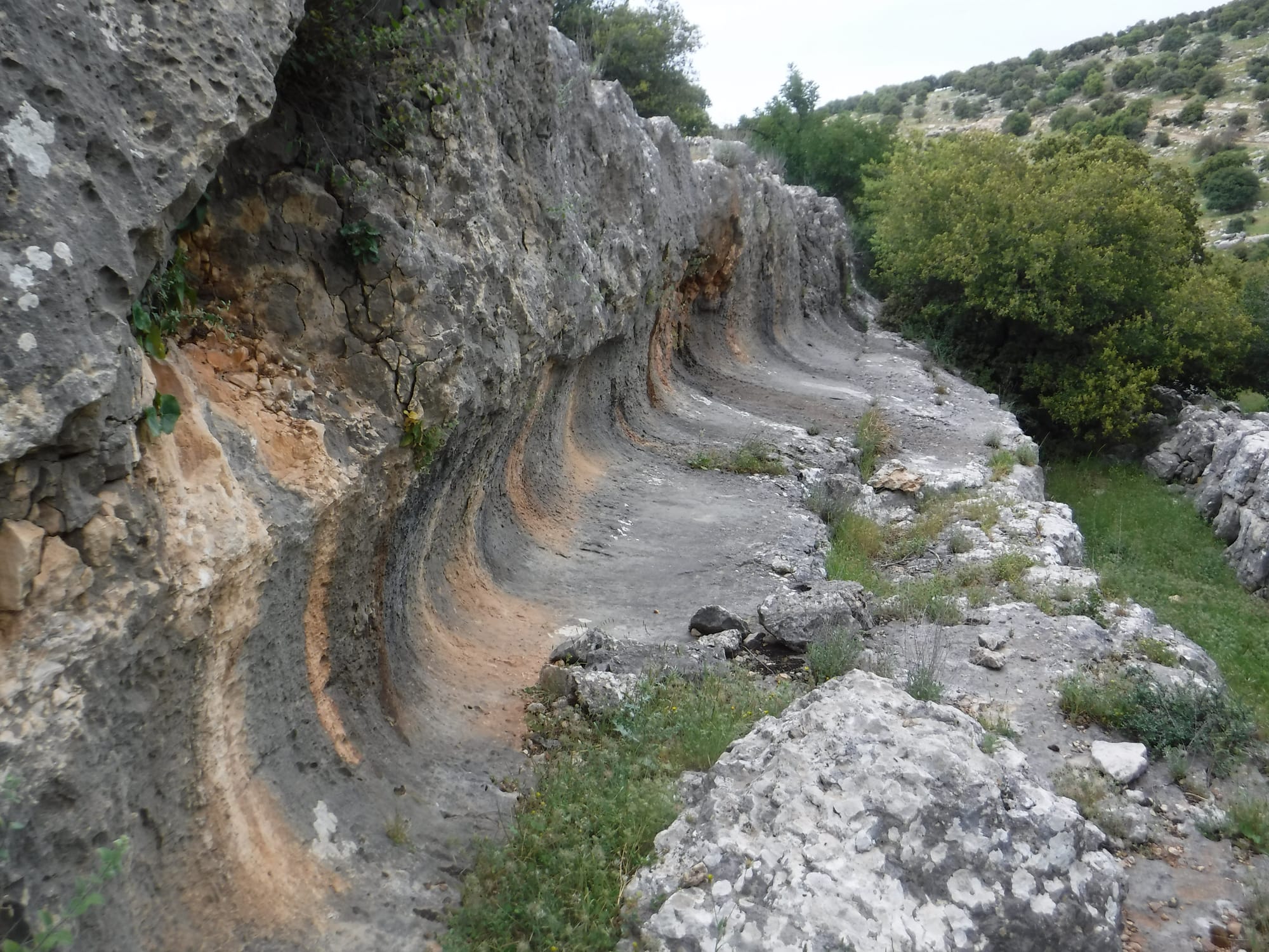 Mar Elias area - Paths of Jordan