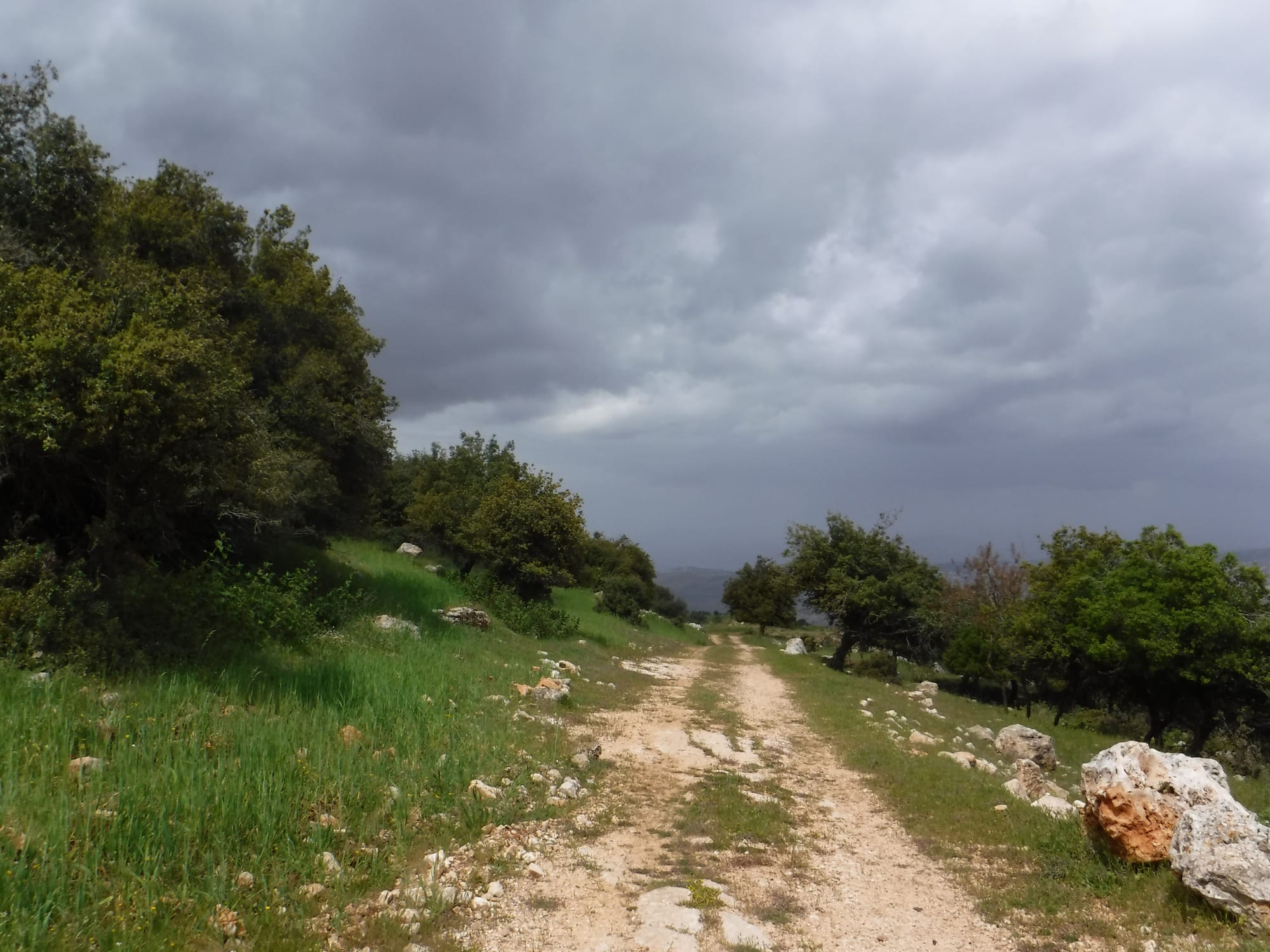 Mar Elias area - Paths of Jordan