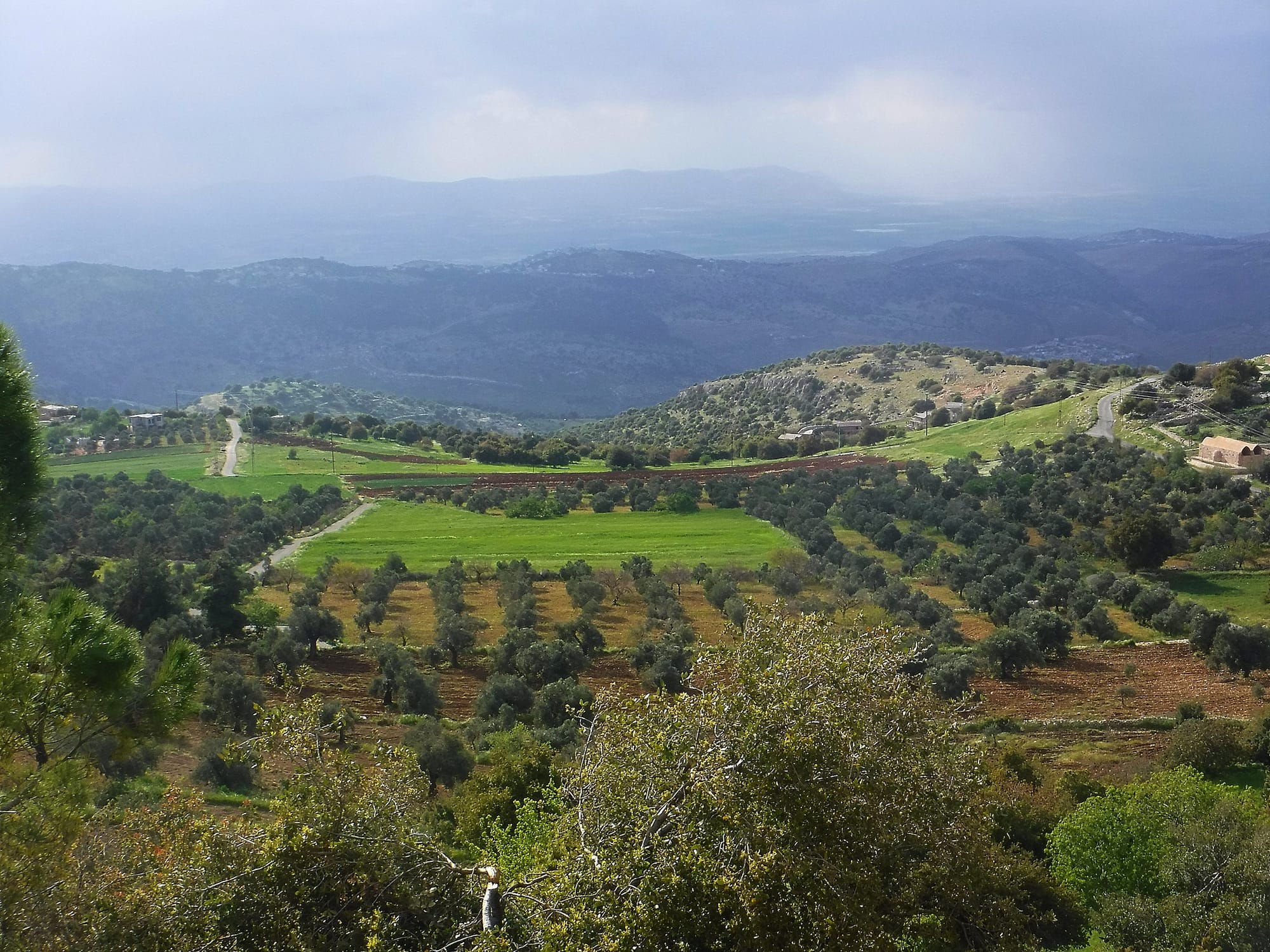 Mar Elias area - Paths of Jordan