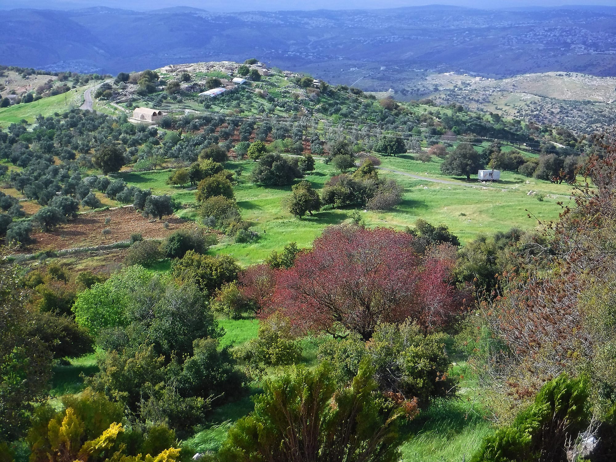 Mar Elias area - Paths of Jordan