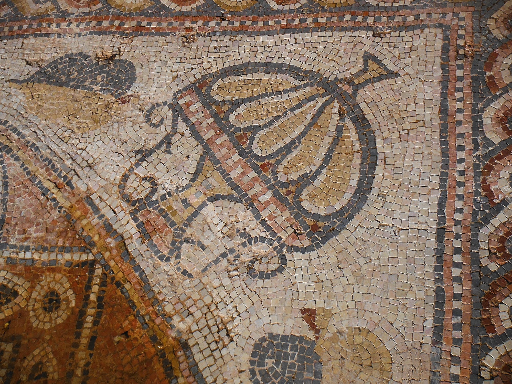 Mar Elias area - Paths of Jordan