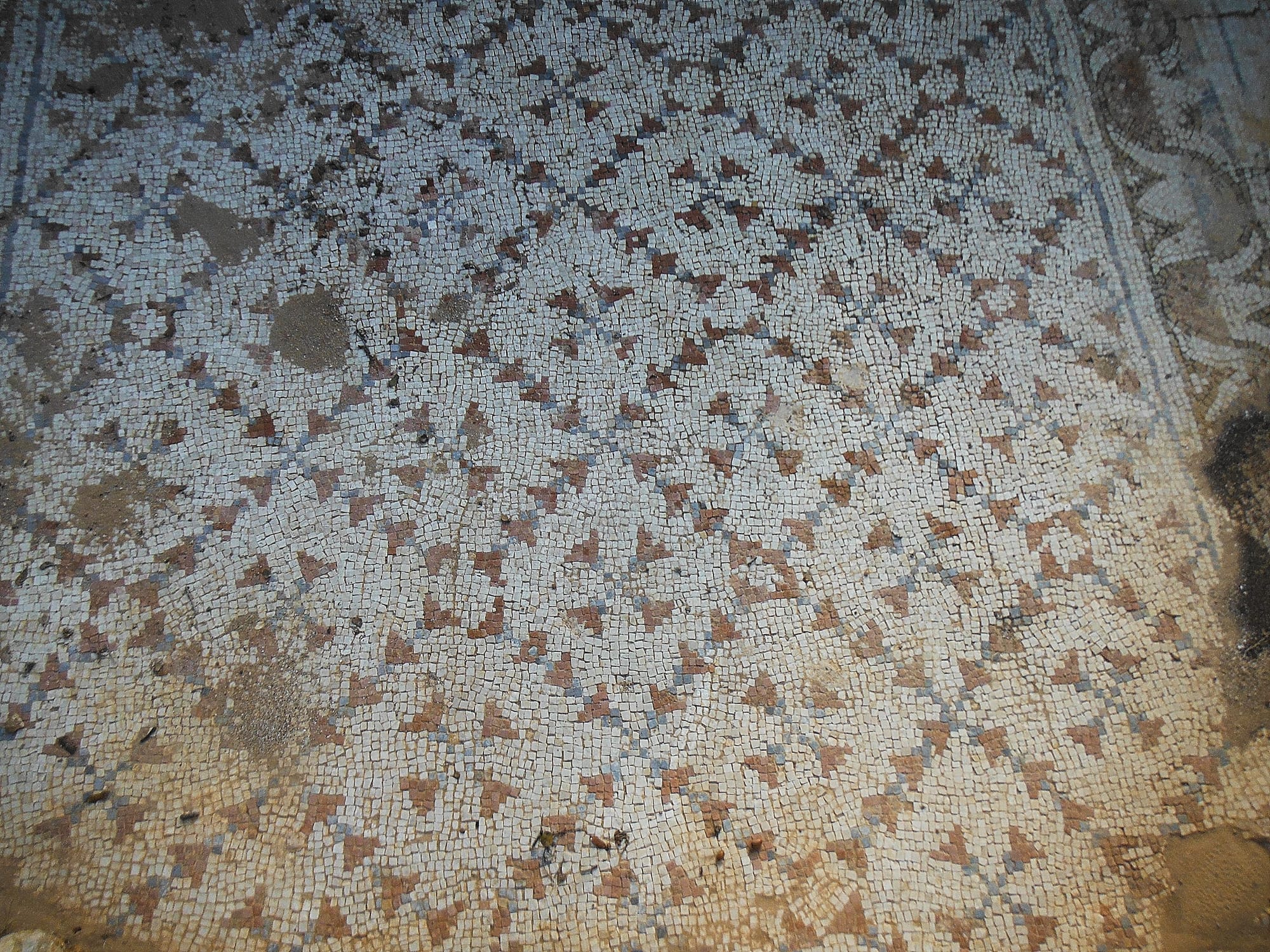 Mar Elias area - Paths of Jordan