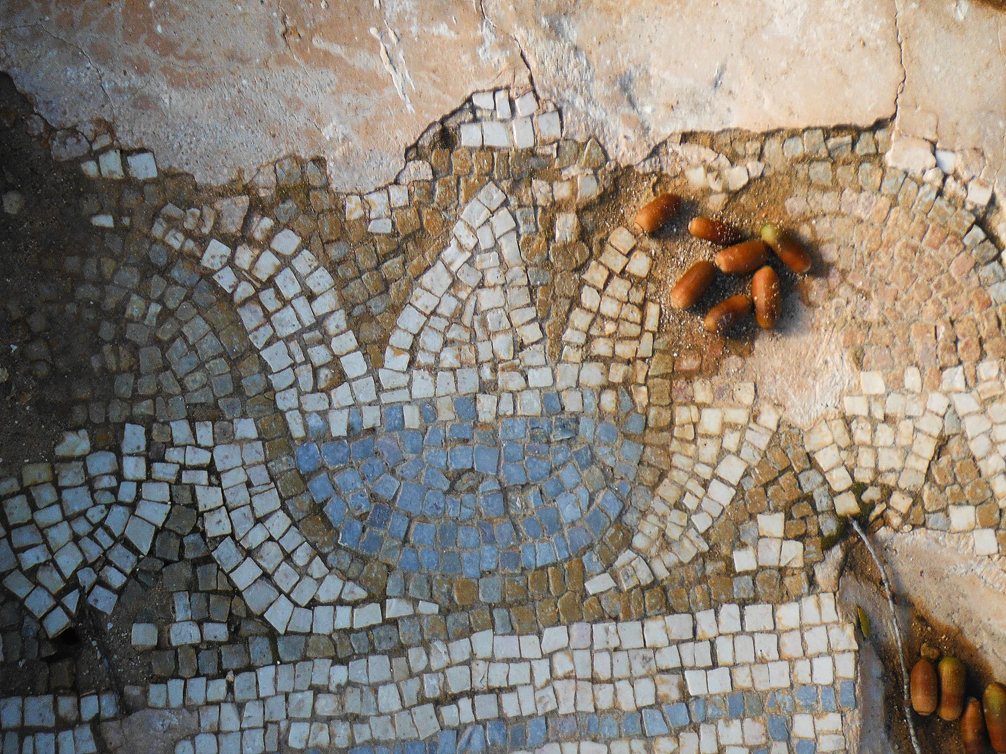 Mar Elias area - Paths of Jordan