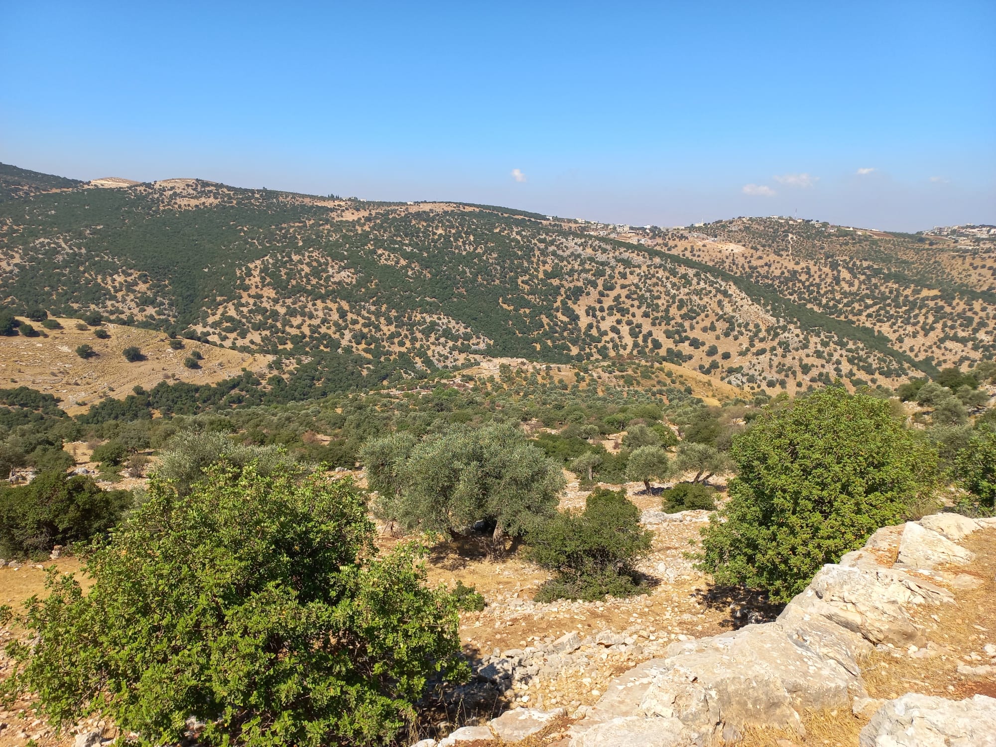 Mar Elias area - Paths of Jordan