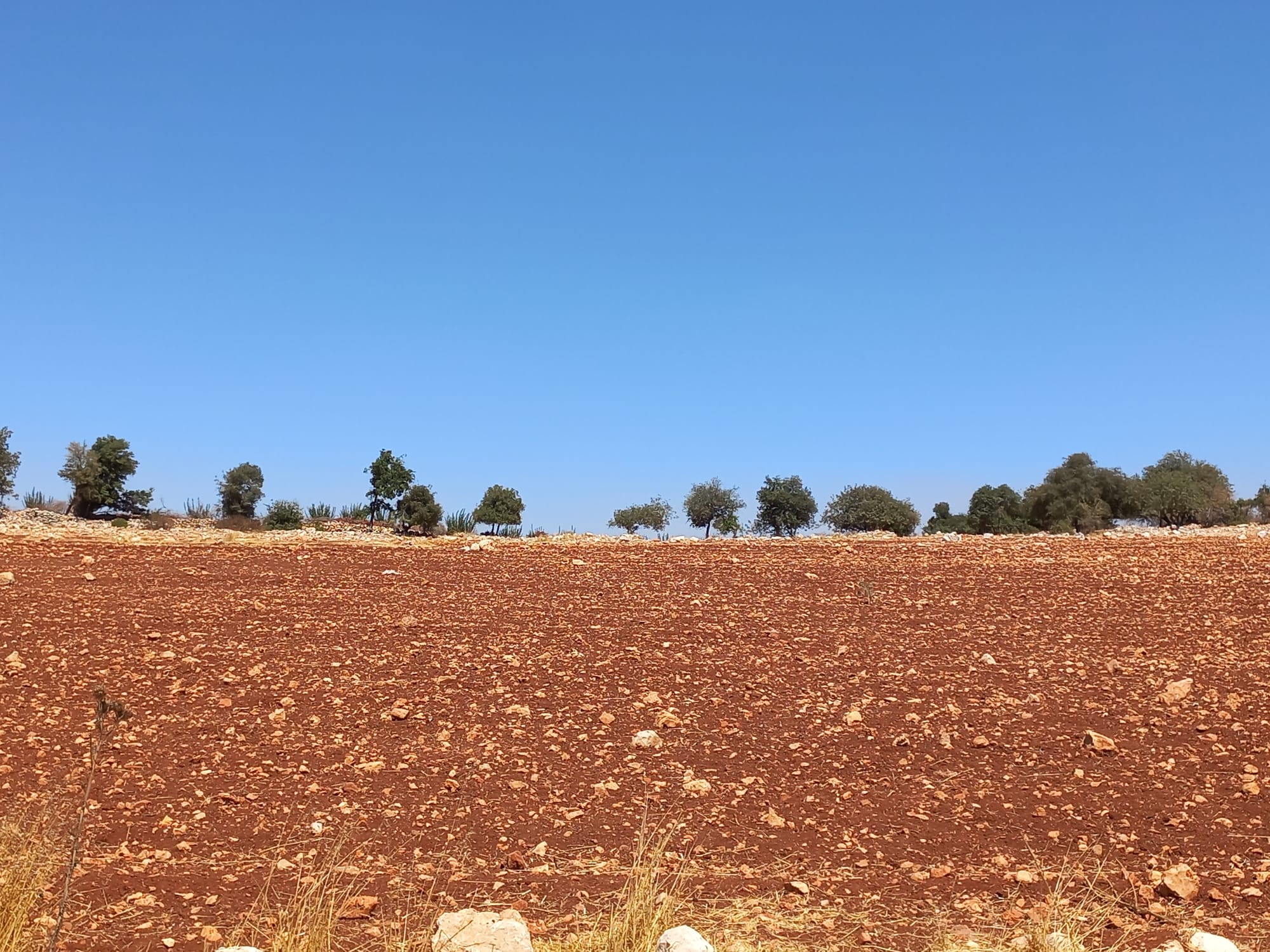 Mar Elias area - Paths of Jordan