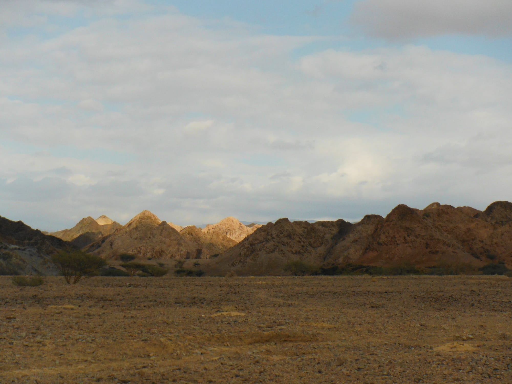 Wadi Araba - Paths of Jordan