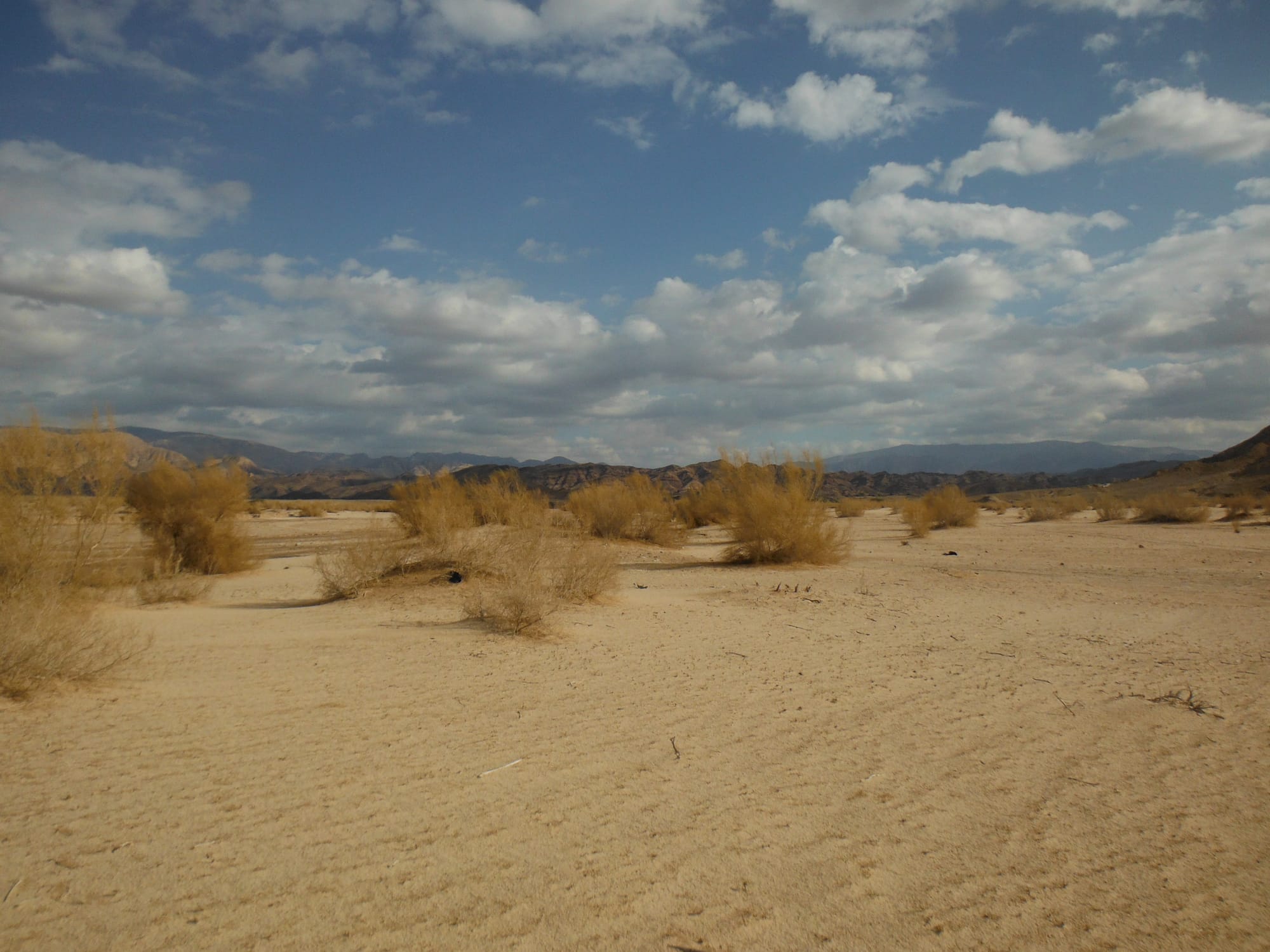 Wadi Araba - Paths of Jordan