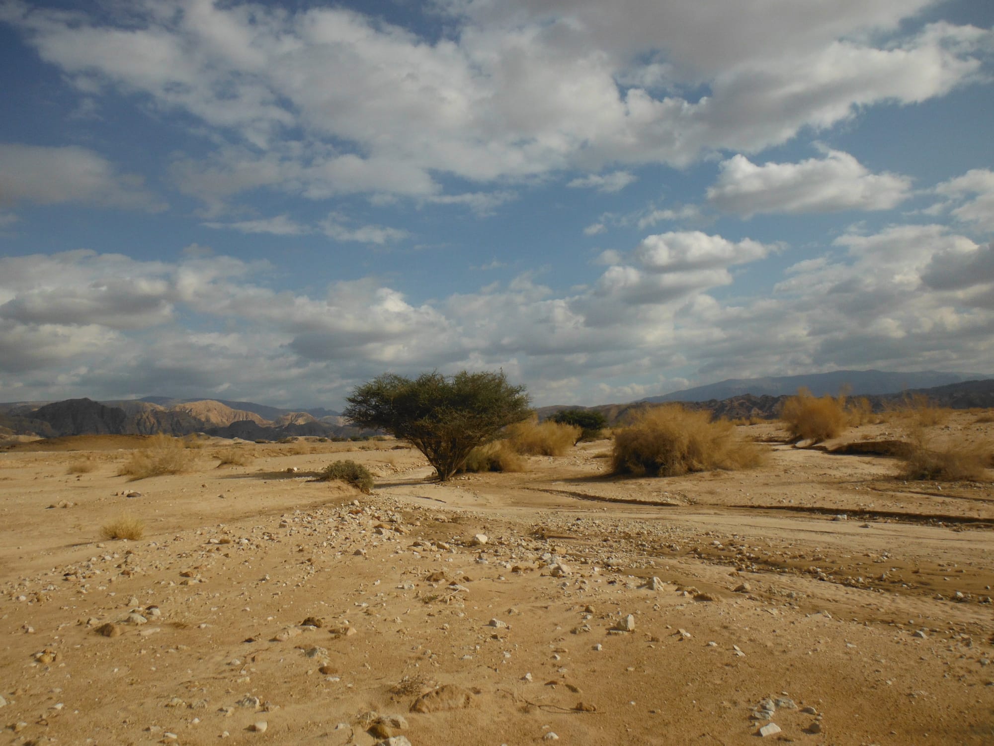 Wadi Araba - Paths of Jordan