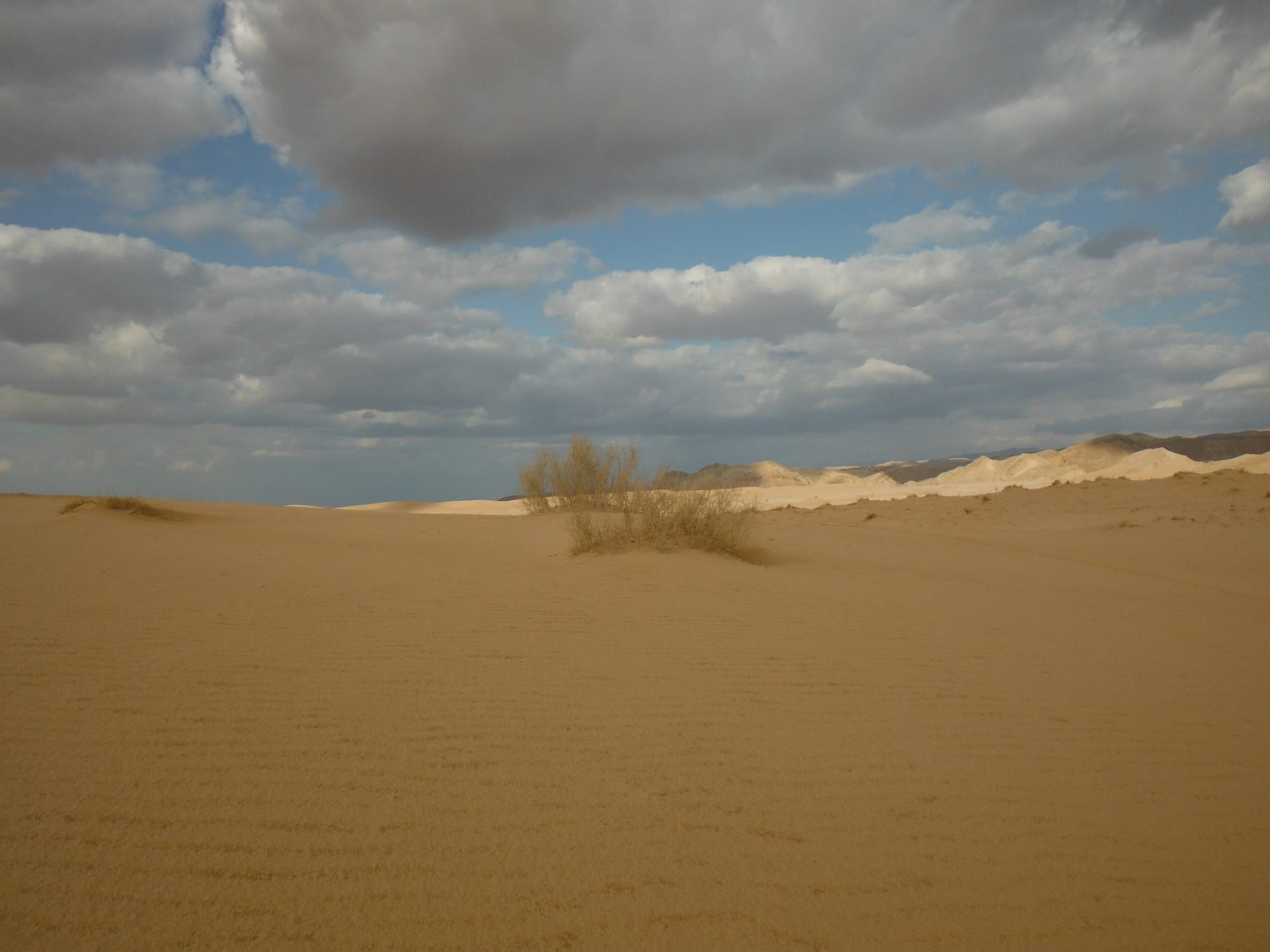 Wadi Araba - Paths of Jordan