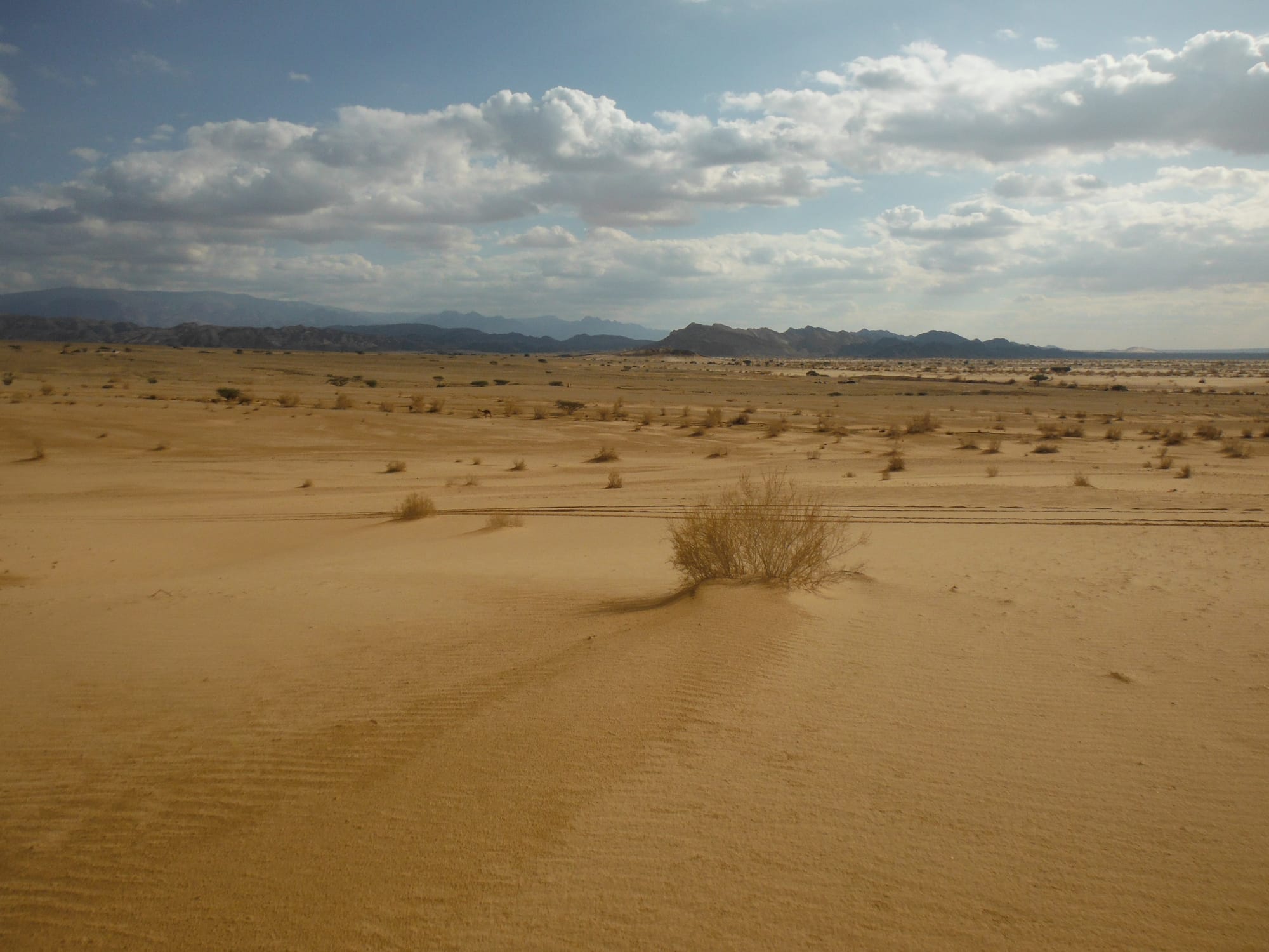 Wadi Araba - Paths of Jordan