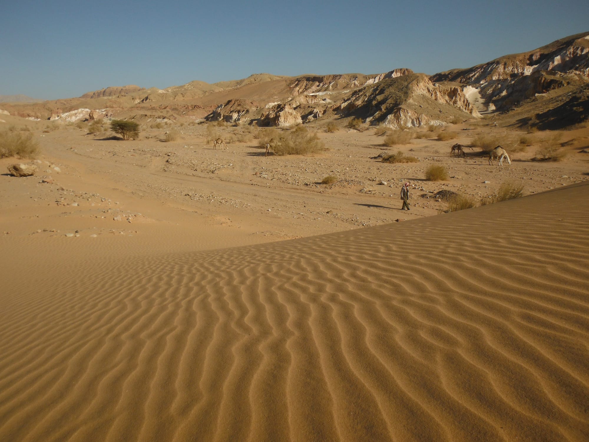 Wadi Araba - Paths of Jordan