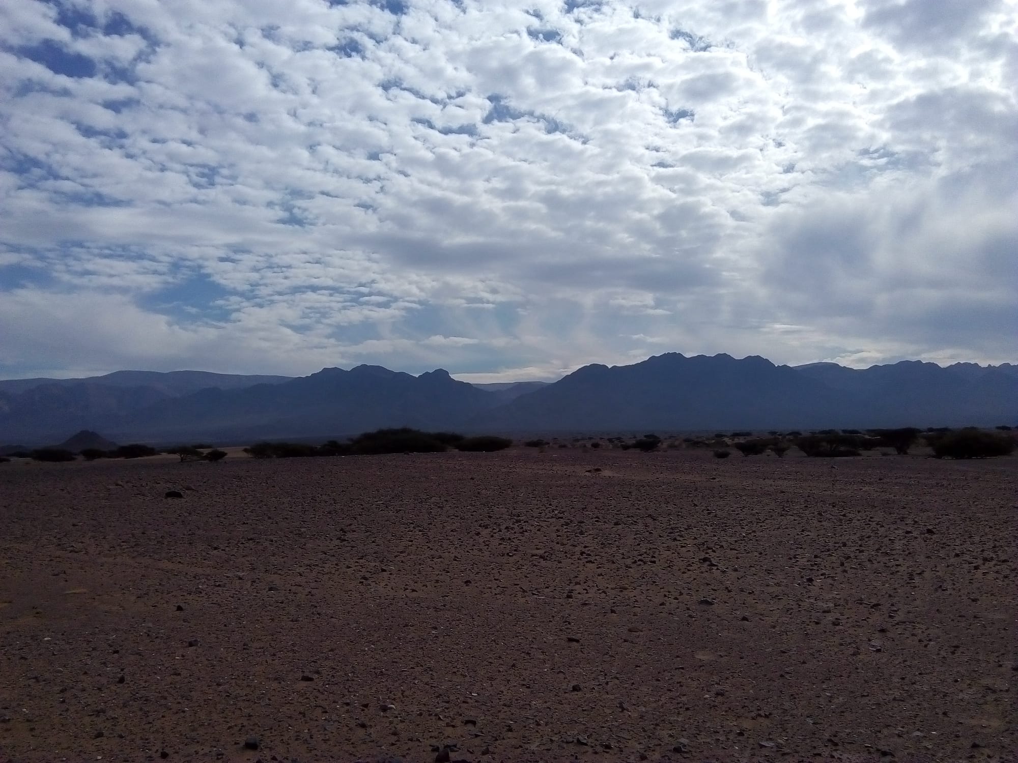 Wadi Araba - Paths of Jordan