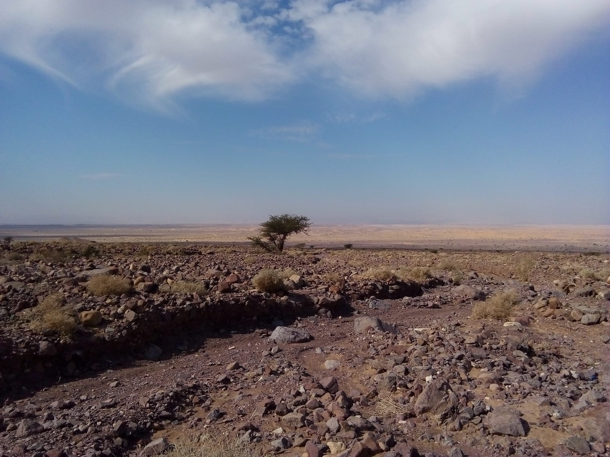 Wadi Araba - Paths of Jordan