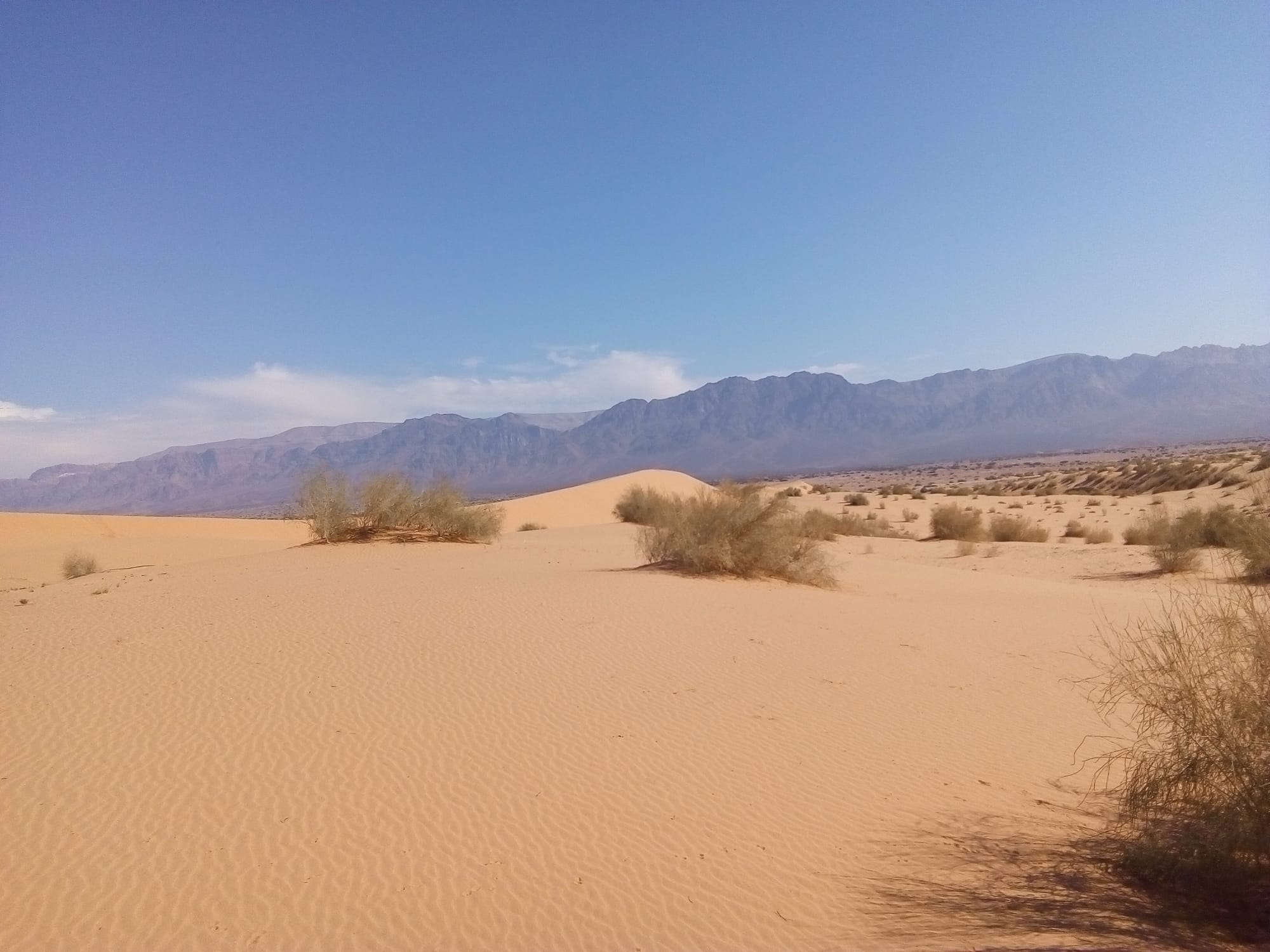 Wadi Araba - Paths of Jordan