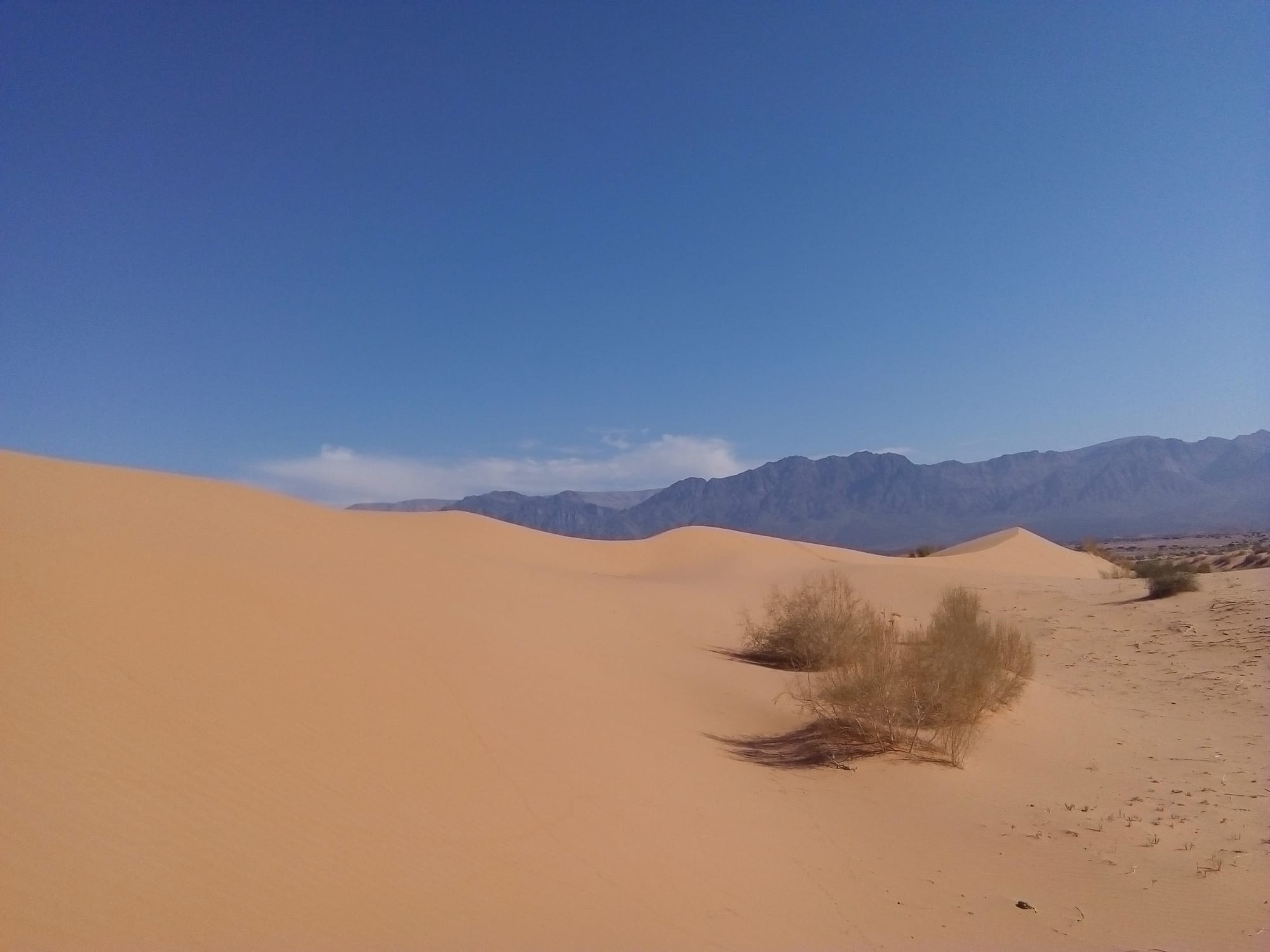 Wadi Araba - Paths of Jordan