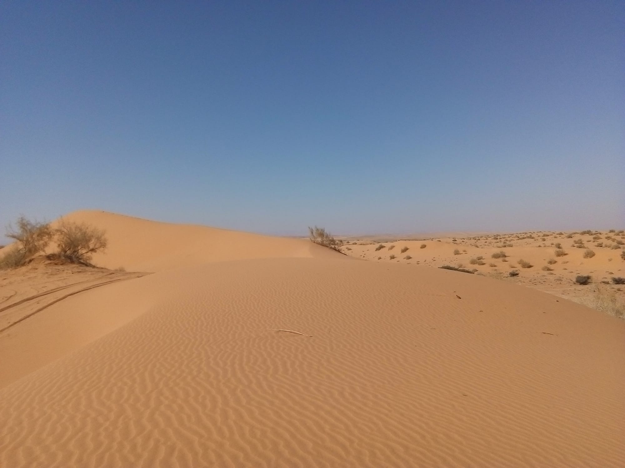 Wadi Araba - Paths of Jordan