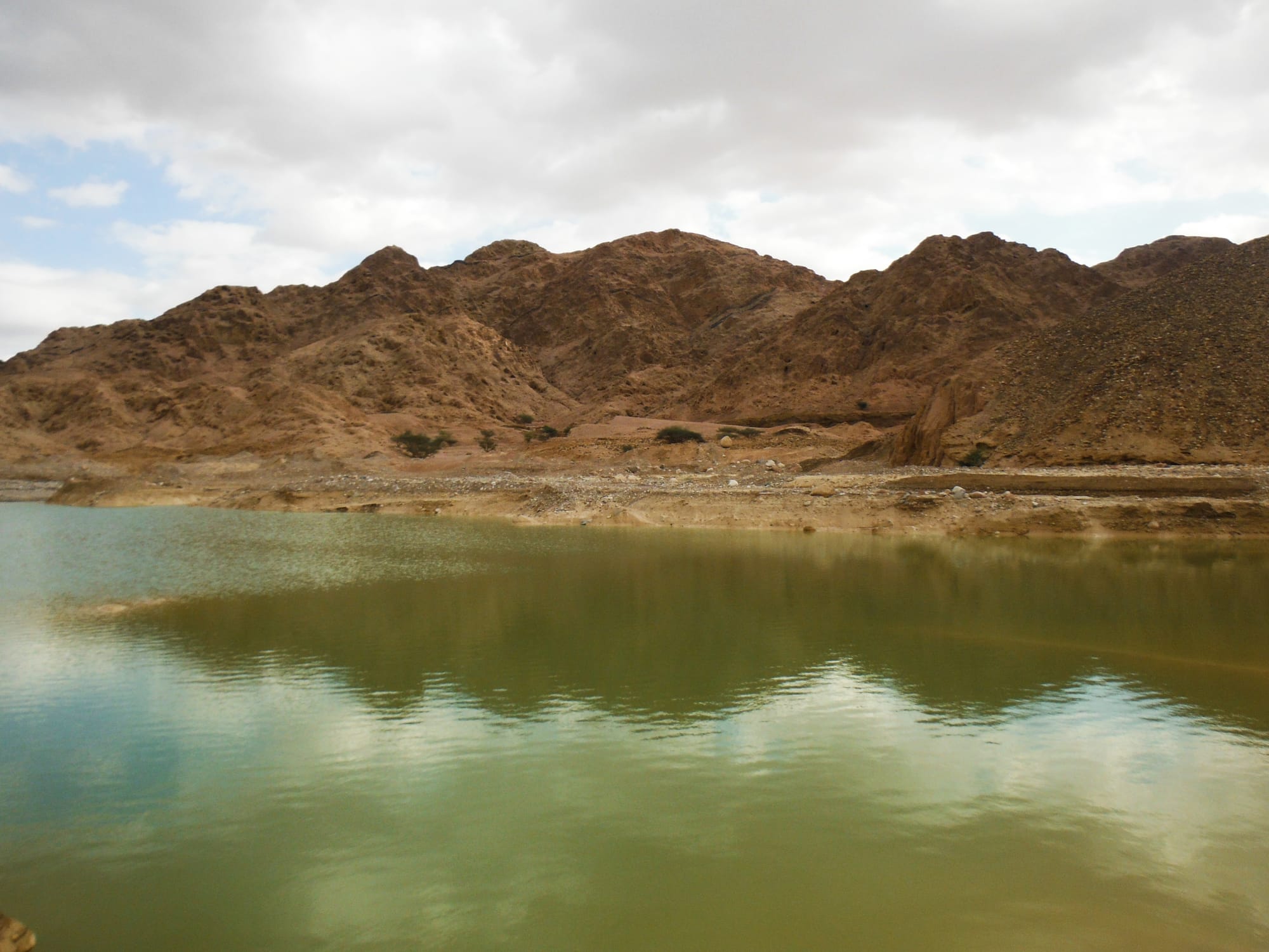 Wadi Araba - Paths of Jordan