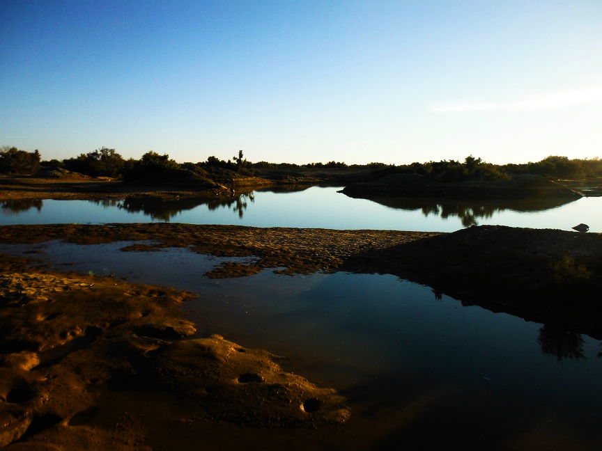 Azraq Lake - Paths of Jordan