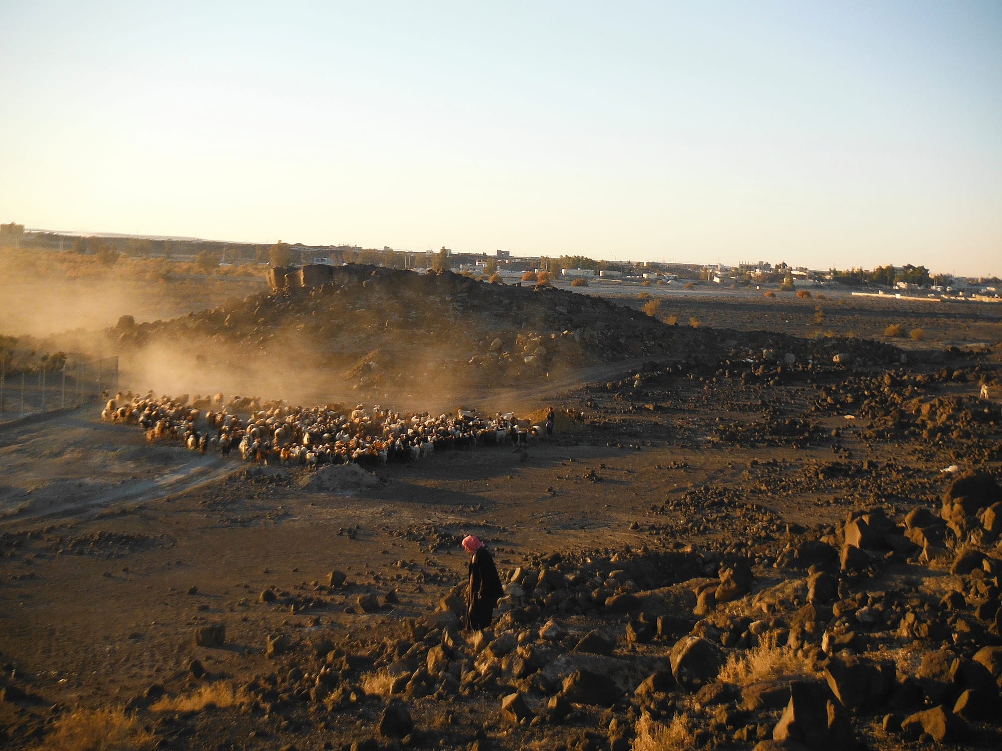Azraq Lake - Paths of Jordan