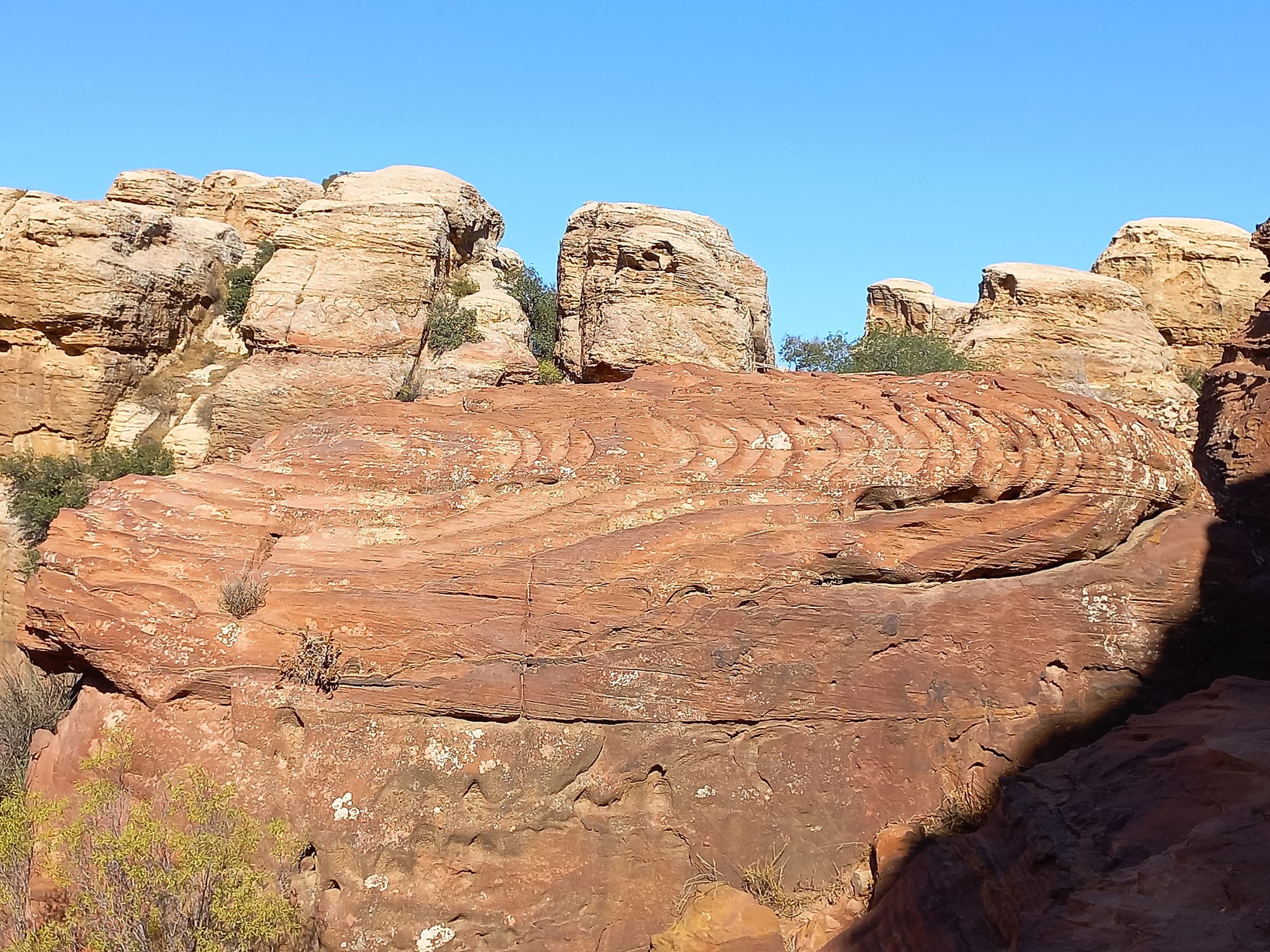 Shaq El Reesh area (Dana) - Paths of Jordan