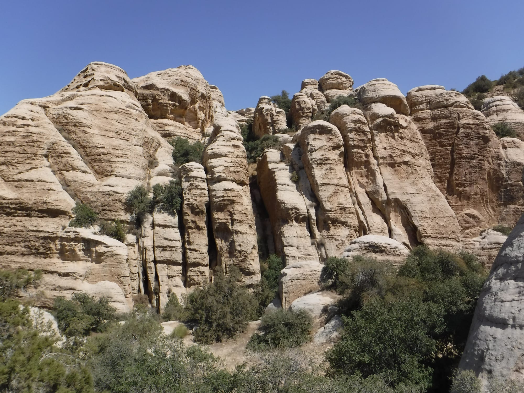 Shaq El Reesh area (Dana) - Paths of Jordan