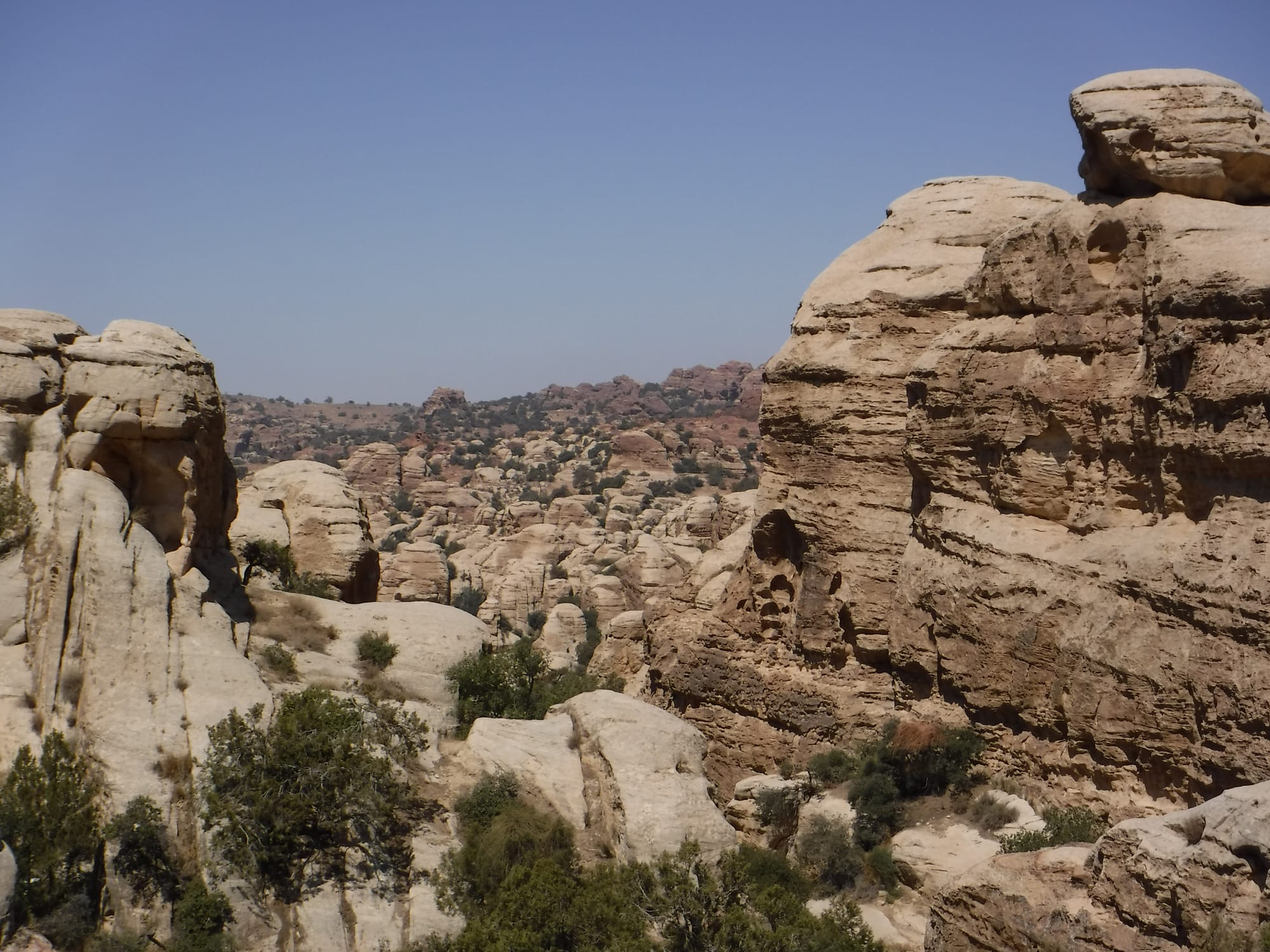 Shaq El Reesh area (Dana) - Paths of Jordan