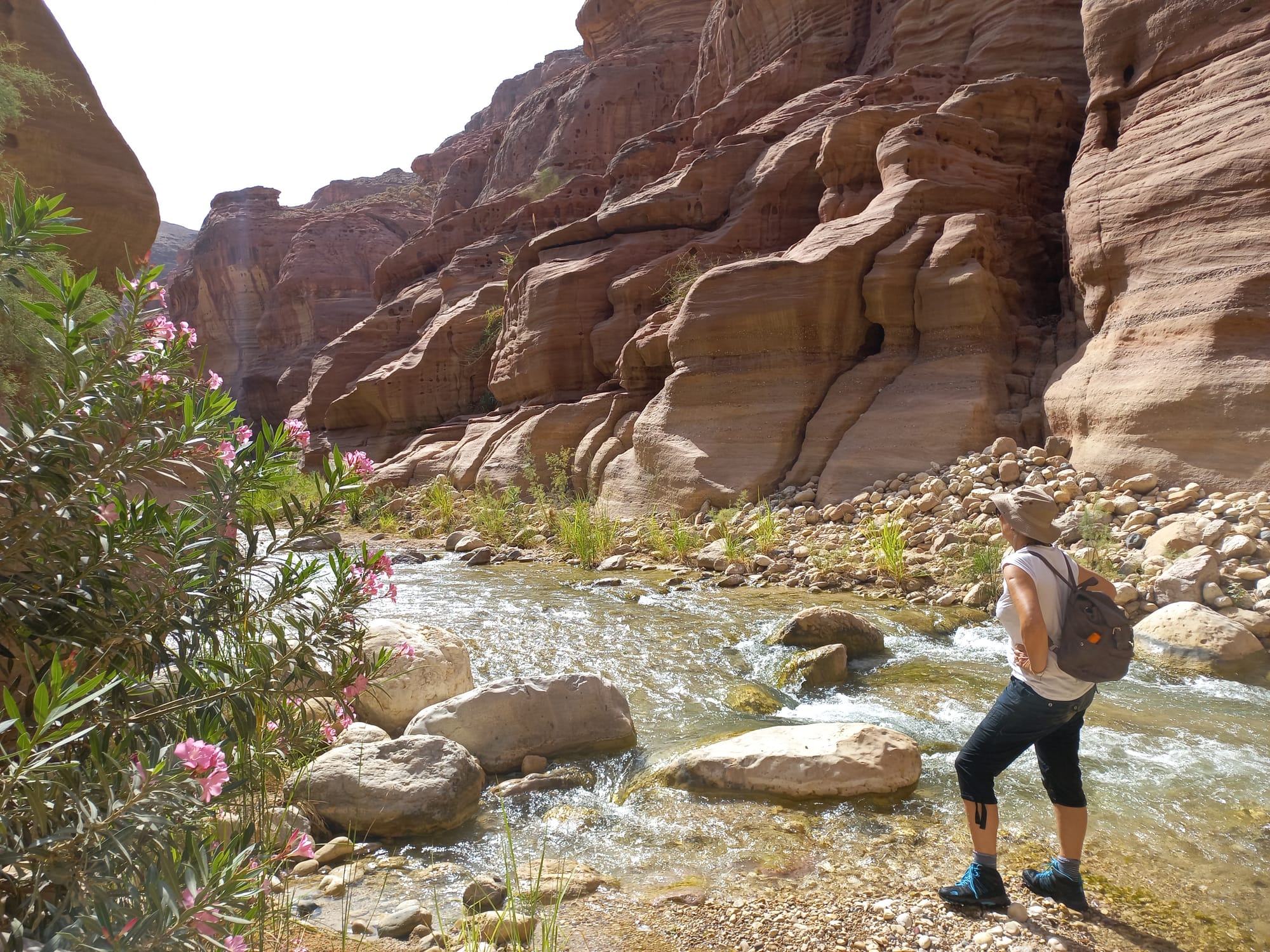 Wadi Hassa - Paths of Jordan