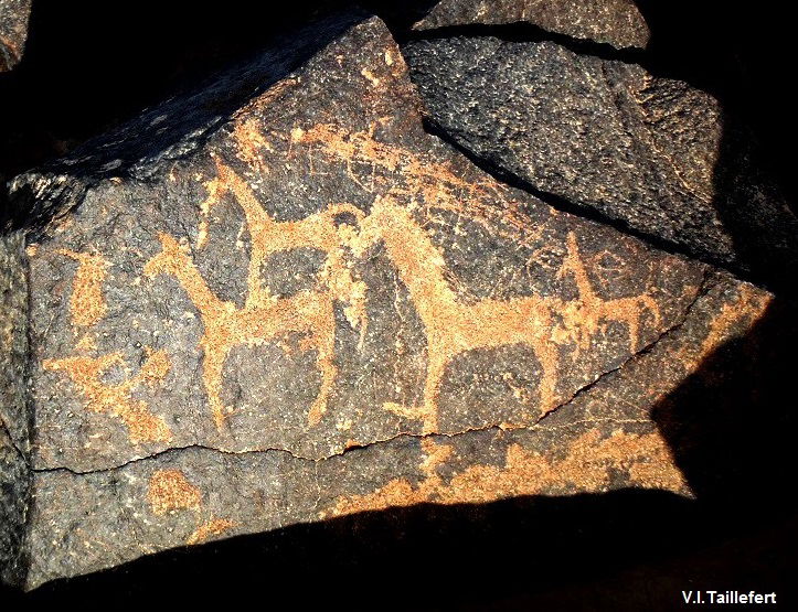 12 000 years of rock art in the Jordanian desert, an overview