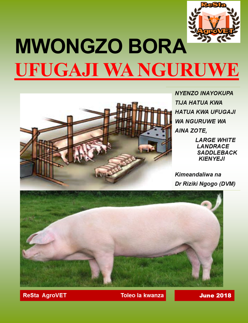 Mwongozo Bora Ufugaji wa NGURUWE - Farmers Platform