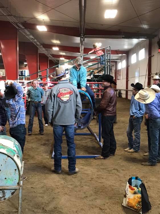 Junior Rodeo