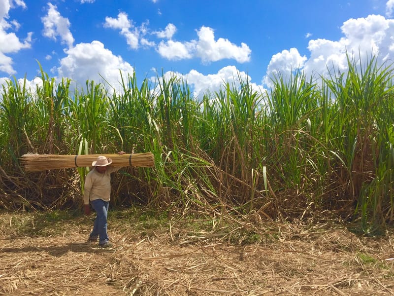 Economía de Alanje - Let's go to alanje