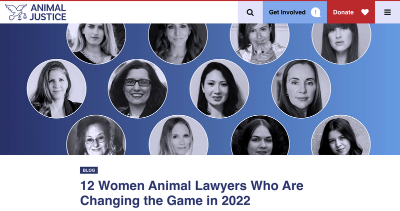 12 Women Animal Lawyers Who Are Changing The Game In 2022, March 8 ...