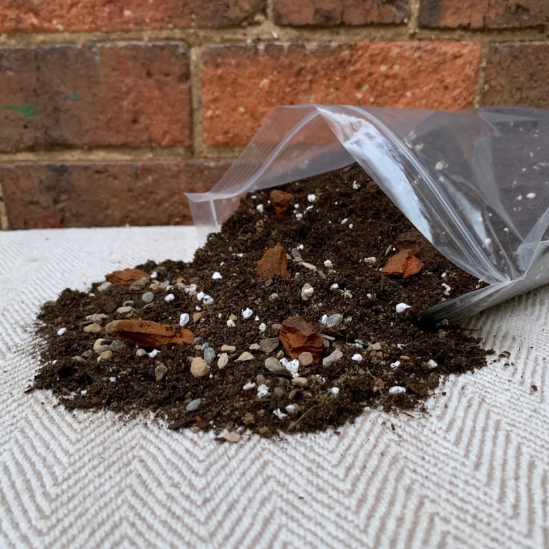 LECA Clay Pebbles for Houseplants (Hydroleca)