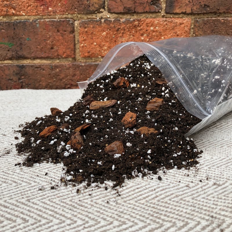 LECA Clay Pebbles for Houseplants (Hydroleca)