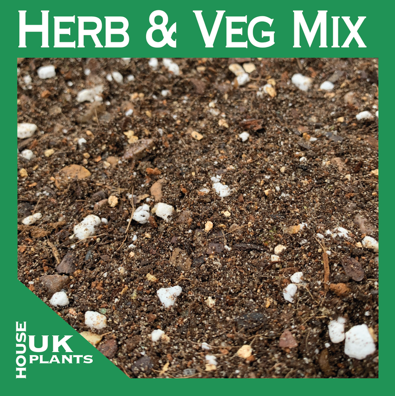 Multipurpose Mixes for Casual Growers - ukhouseplants