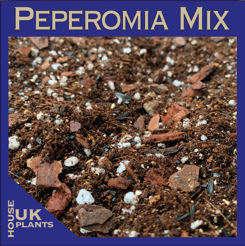 Plant-Specific Mixes for Keen Growers - ukhouseplants